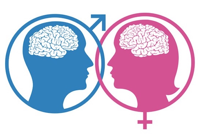 Do You Have a Female or Male Brain: A Test to Measure Your Empathy and ...