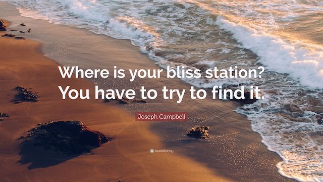 Build Your Own Bliss Station – Borden's Blather